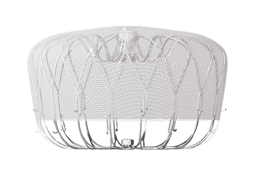 About the WATCHMAN Procedure for Physicians